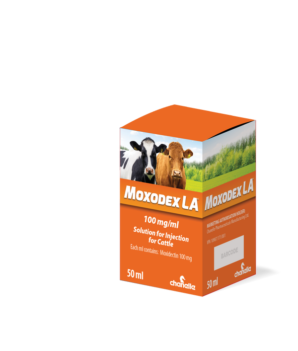 Moxodex LA 100 mg/ml Solution for Injection for Cattle – Quinn's Chemist
