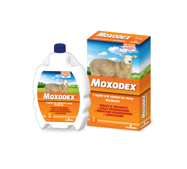 Moxodex 1 mg/ml oral solution for sheep (Cydectin Generic) – Quinn's ...