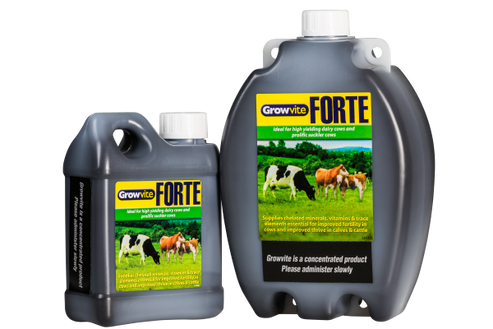 Growvite Forte – Quinn's Chemist